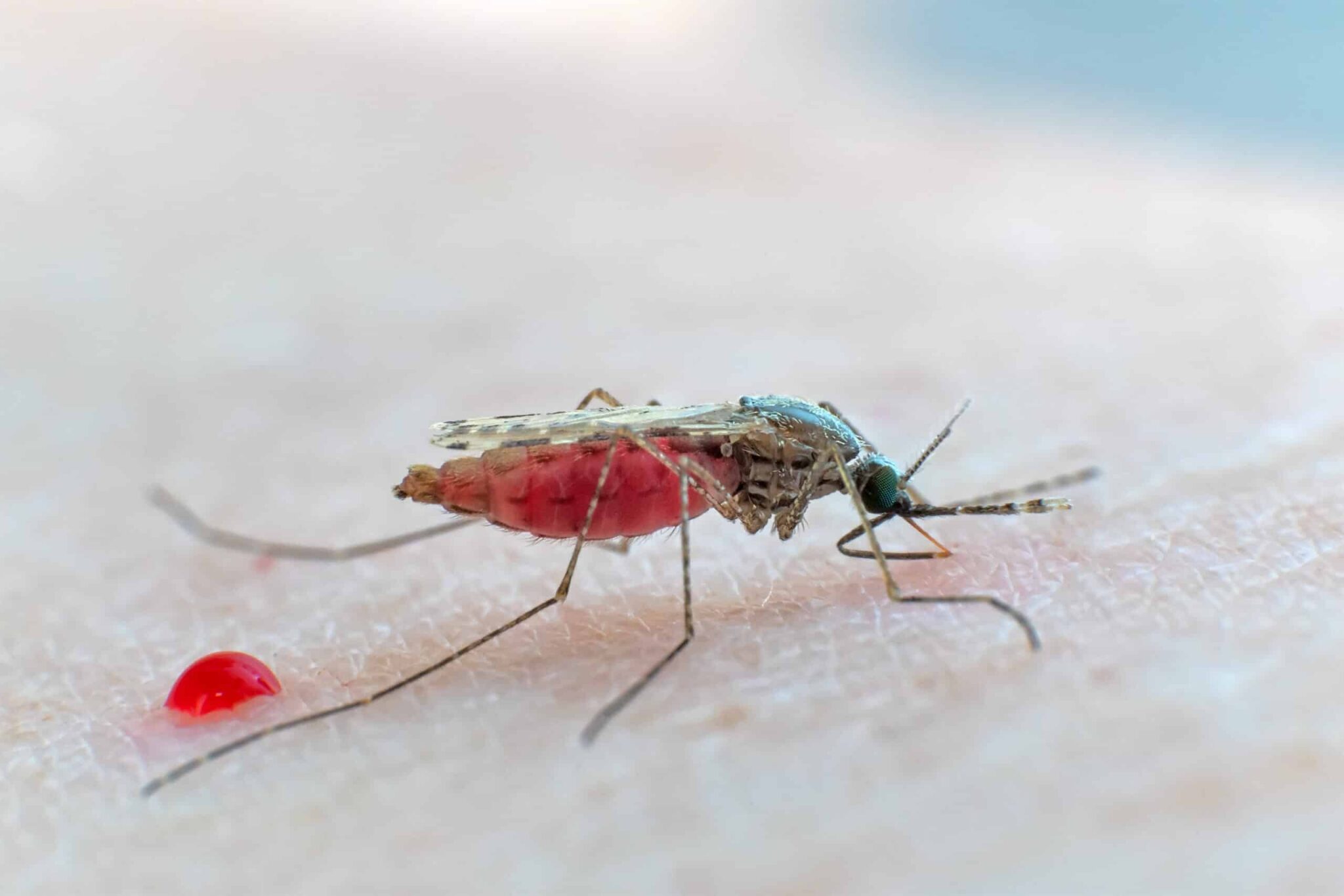 A Soap Solution That Can Help You Fight Malaria Mosquitoes Better